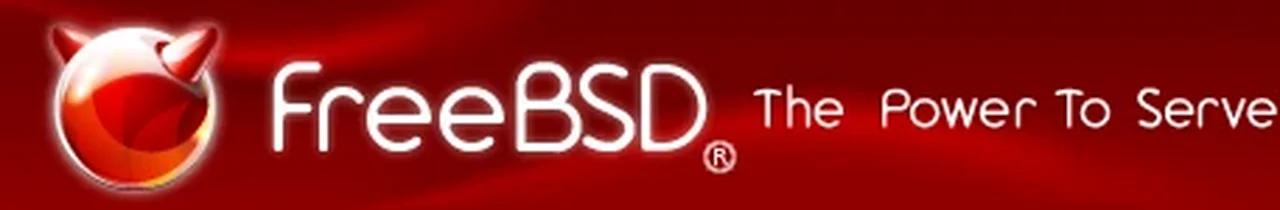 More fun with FreeBSD: Installed dwm Tiling Window Manager.