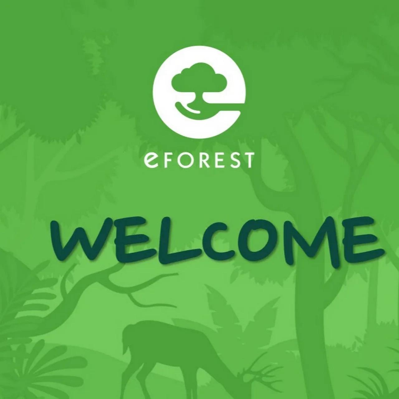 eForest Plus
