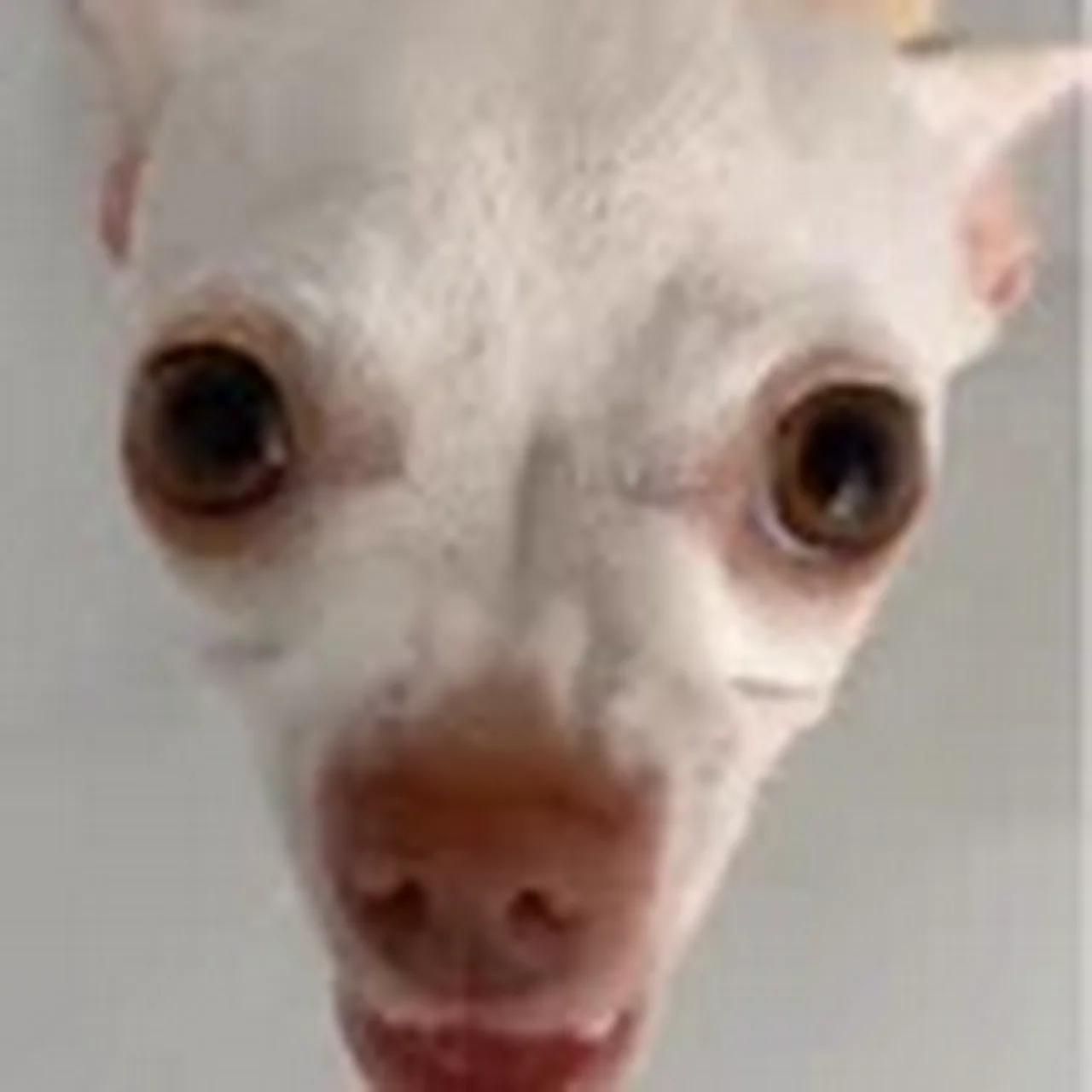 The Angry Production