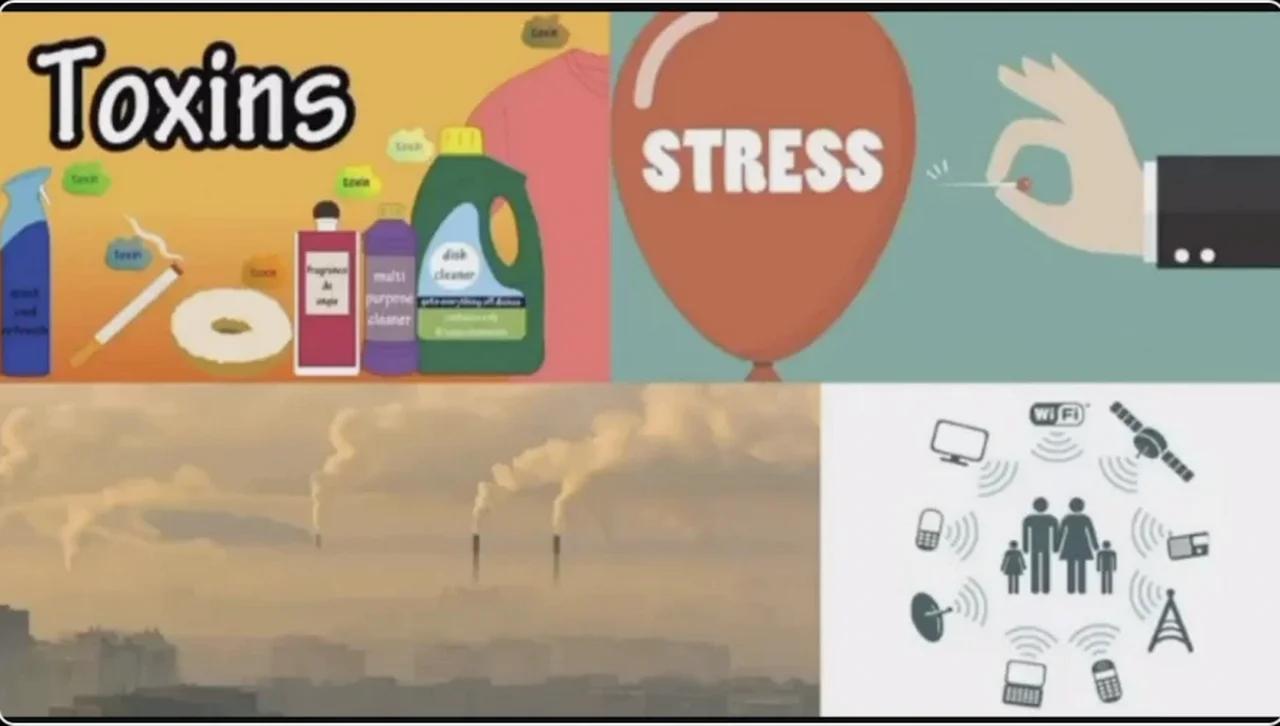 Microbes – Germ Theory vs. Terrain Theory