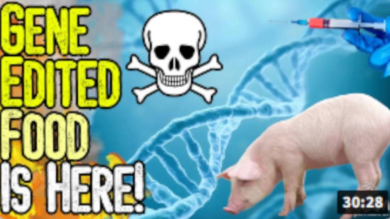 GENE EDITED FOOD IS HERE! - FDA Approves Zombie Pork As Supply Chain ...