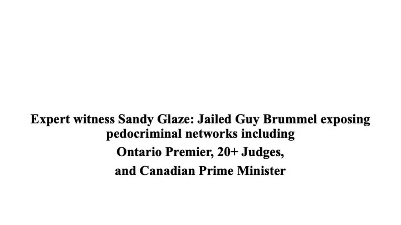 Expert witness Sandy Glaze: Jailed Guy Brummel exposing Crimes Against ...