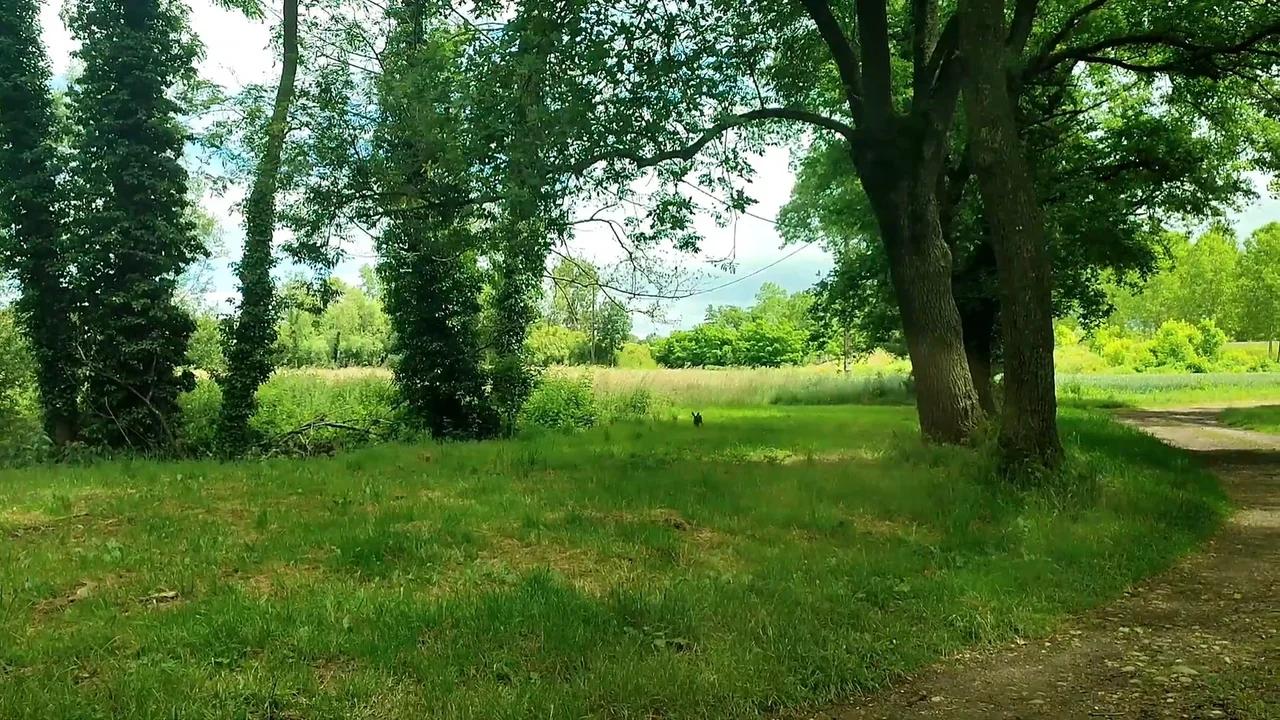 Une VIE DE MERDE dans une EPOQUE DE MERDE