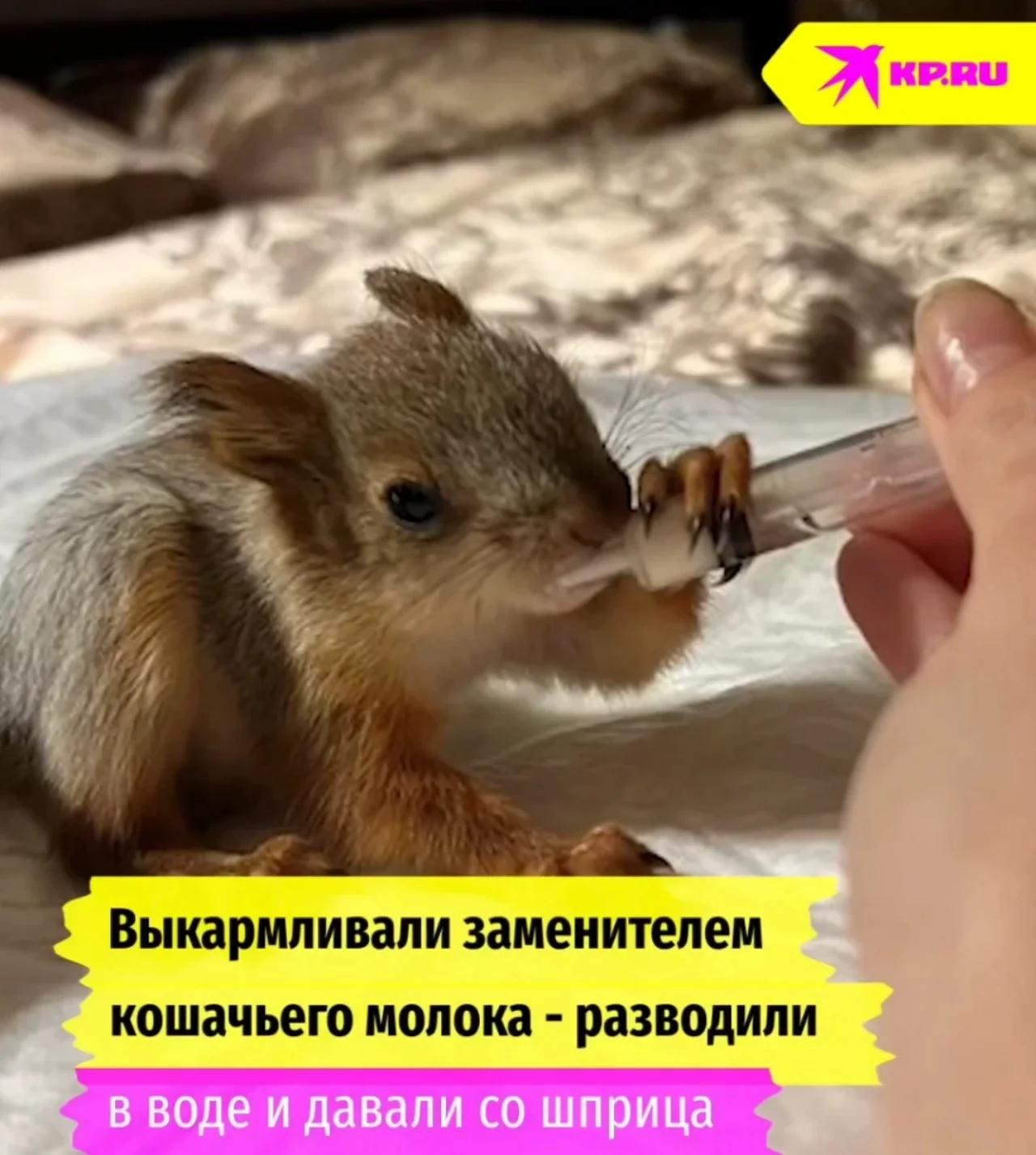 📽️-A 🇬🇧&🇫🇷, Get ready for that, Aaah - Cute, moment!!