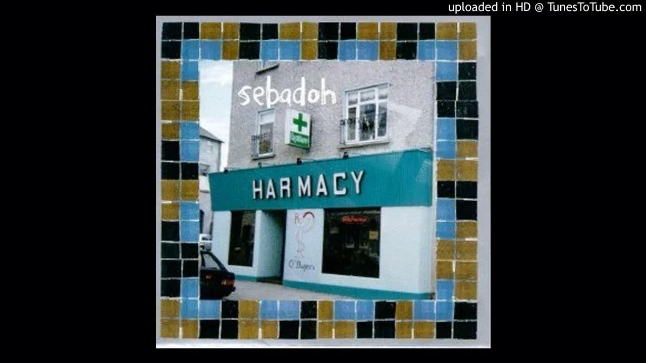 Sebadoh “Beauty of the Ride”