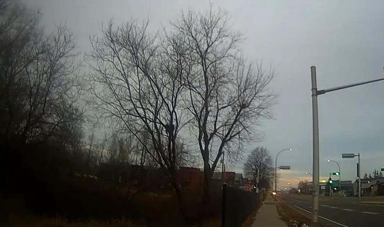 A Short Walk on a Cold, Grey November Morning