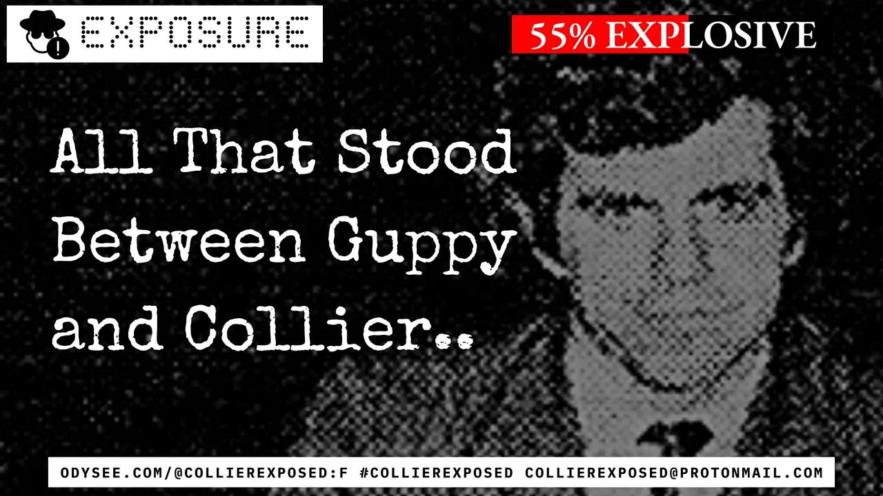 Exposed: All That Stood Between Darius Guppy and Stuart Collier (# ...