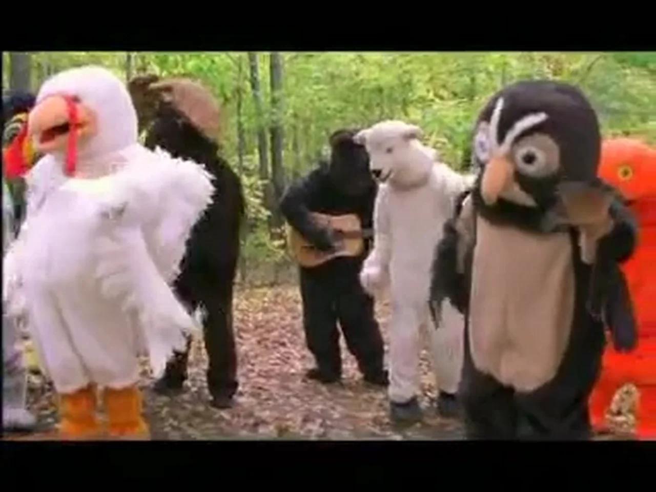 Grandaddy “Nature Anthem”