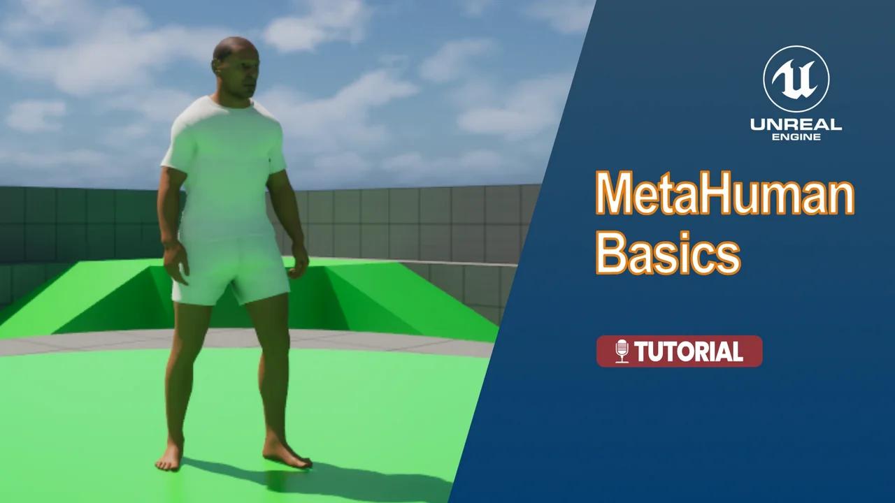 Tutorial: Beginner’s guide to working with Metahumans in Unreal Engine ...