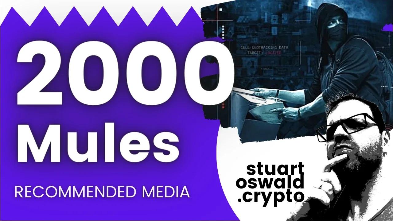 2000 Mules 2022 - Free Stream Now - My Personal Media Recommendation of ...