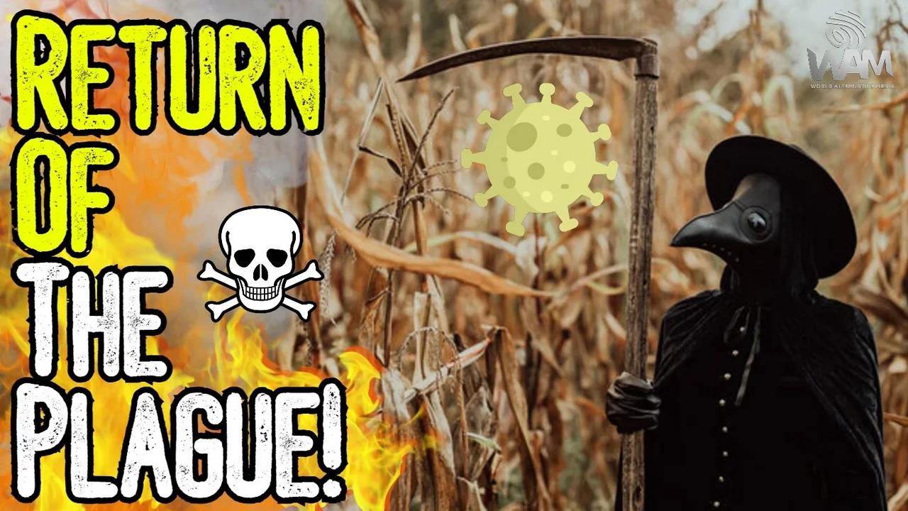 BREAKING: RETURN OF THE PLAGUE! - Bubonic Plague Outbreak Explodes ...