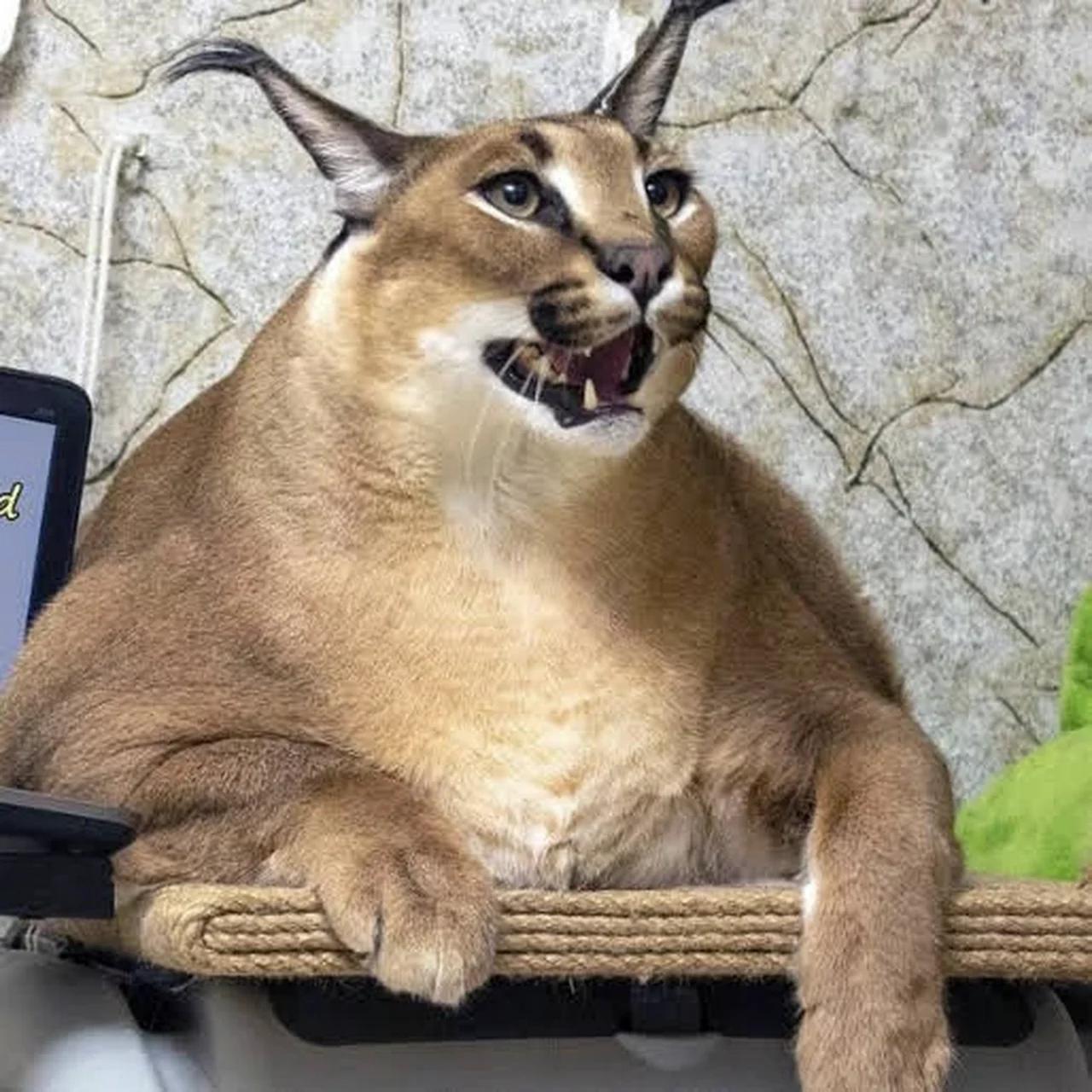 FTN LIVE_ Jazz, Warren, and Greg Conte - Tonight at 9pm US Eastern PART 2