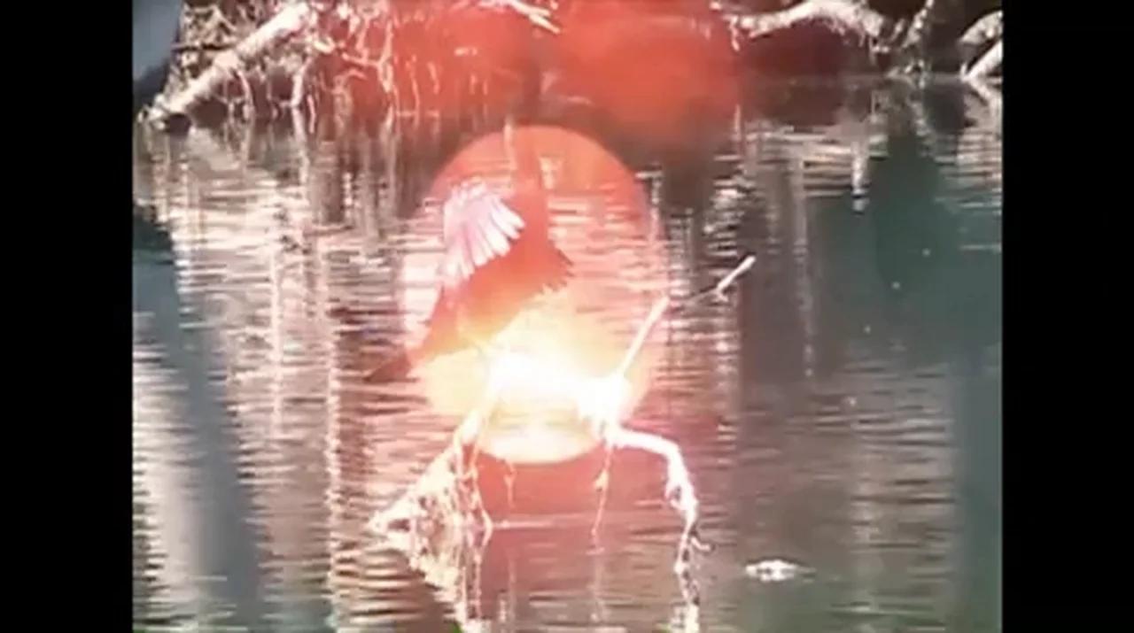 Windhand “Crypt Key”