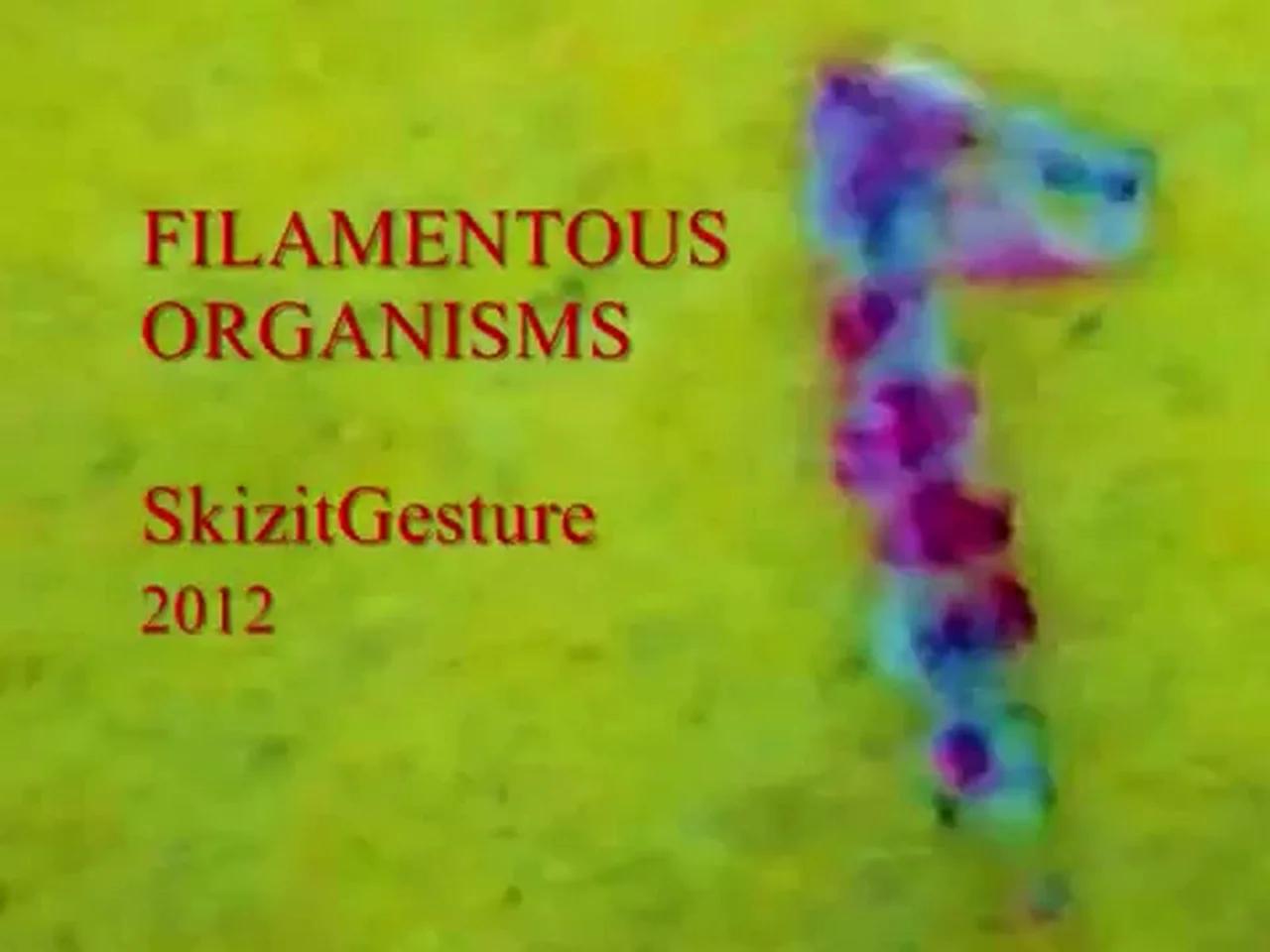 SKIZIT GESTURE : ORGANISMES FILAMENTEUX
