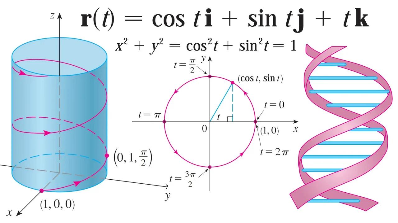 Plane Curves as Vector Functions and the Structure of a DNA Helix