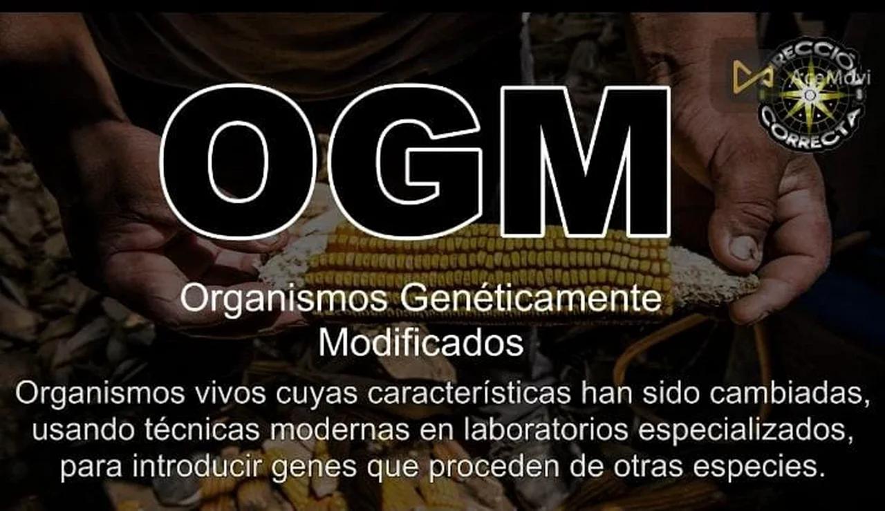 OGM, Organismos Genéticamente Modificados