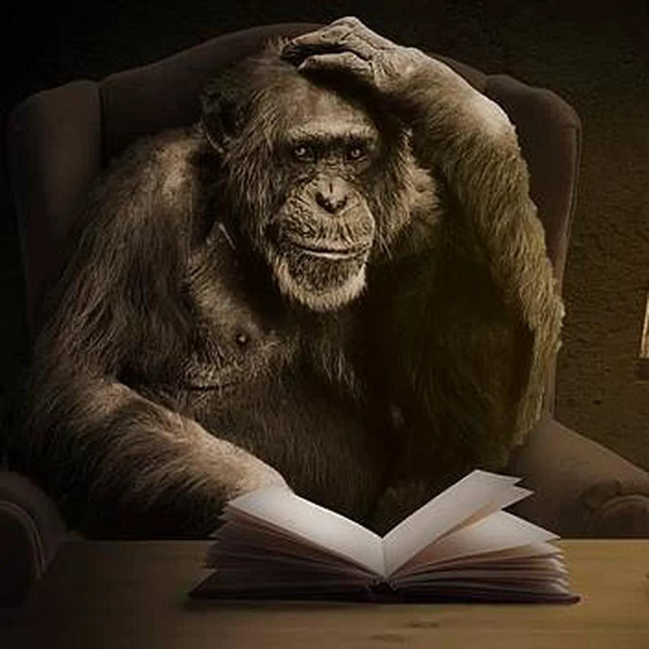 Redacted Truth Channel