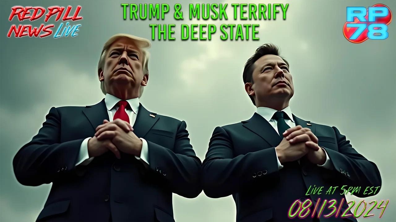 Harris Campaign & Media Freak Out After Trump Musk Interview Red Pill ...