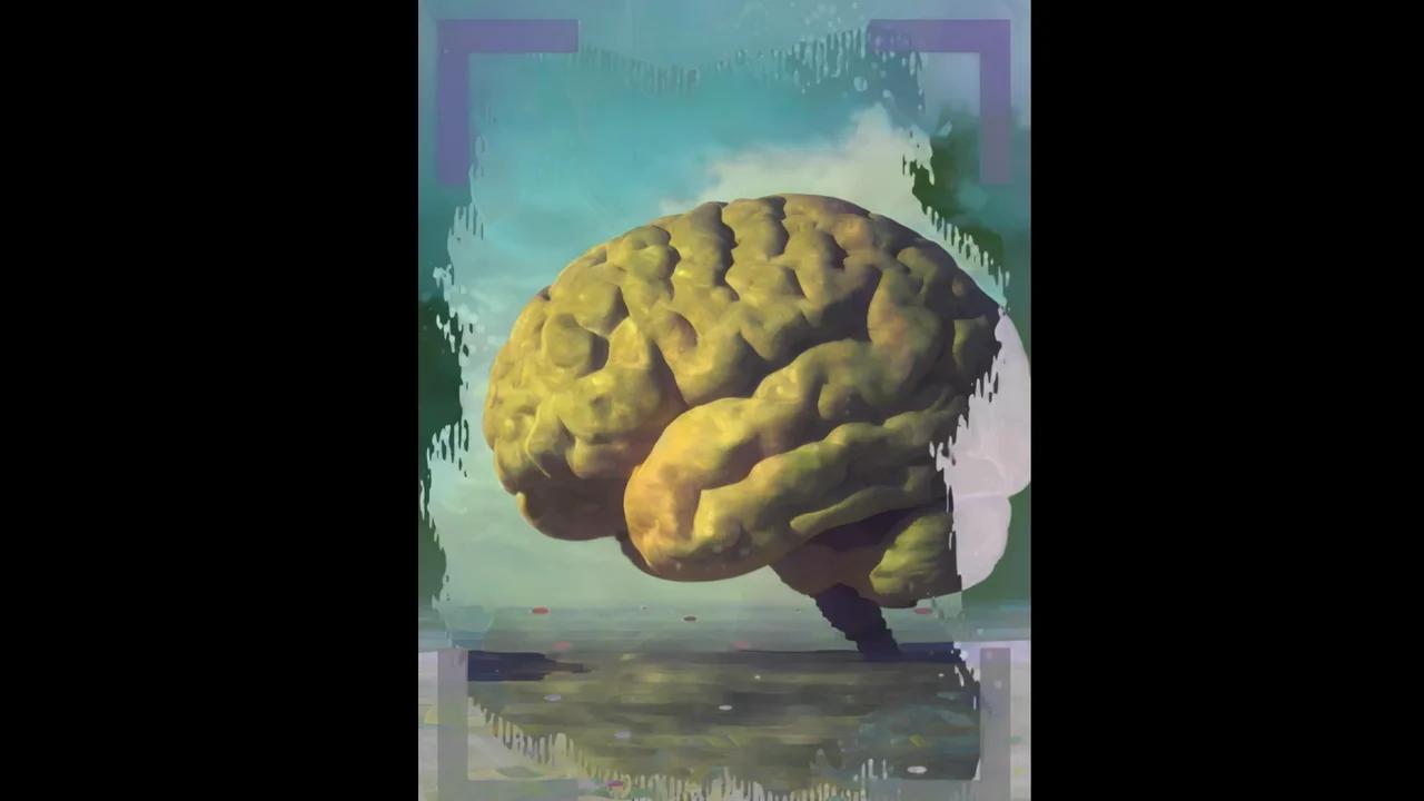 Project Mental Health - Sapien Medicine