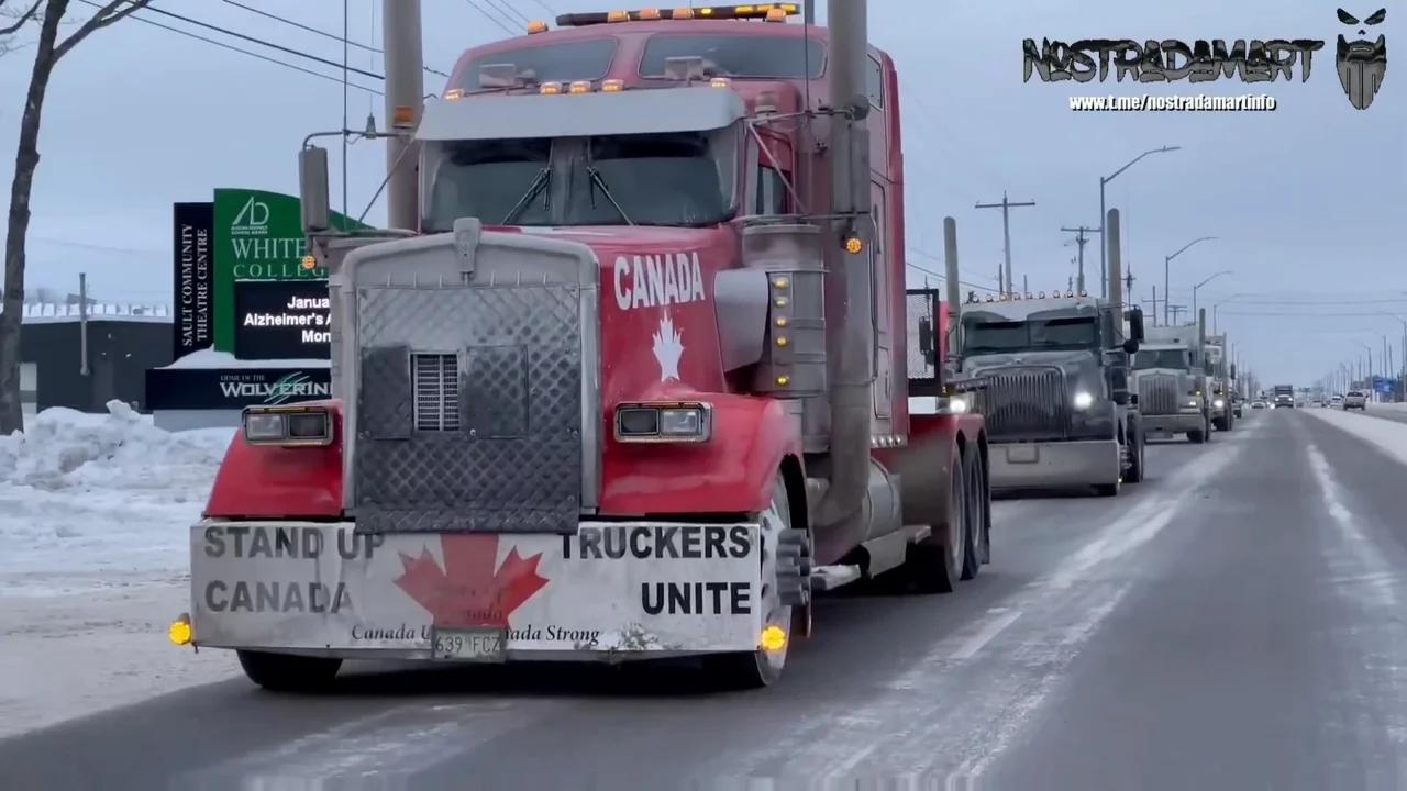Freedom Convoy 1 year Tribute - Premier anniversaire du Convoi de la ...