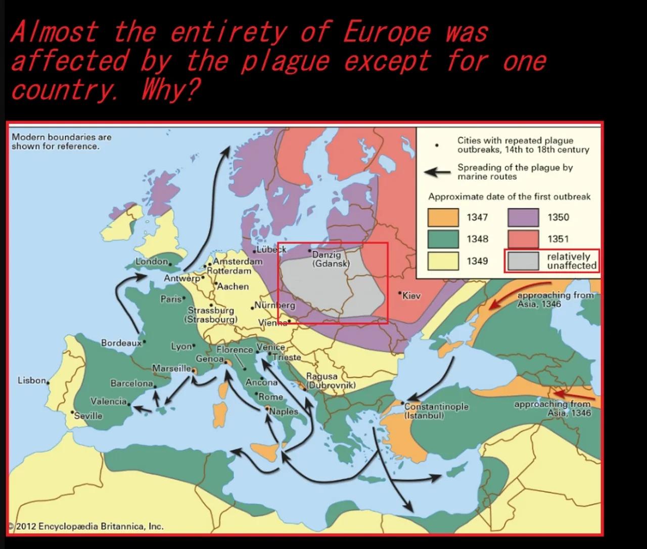 Rats Bats and Pangolins history of scapegoating