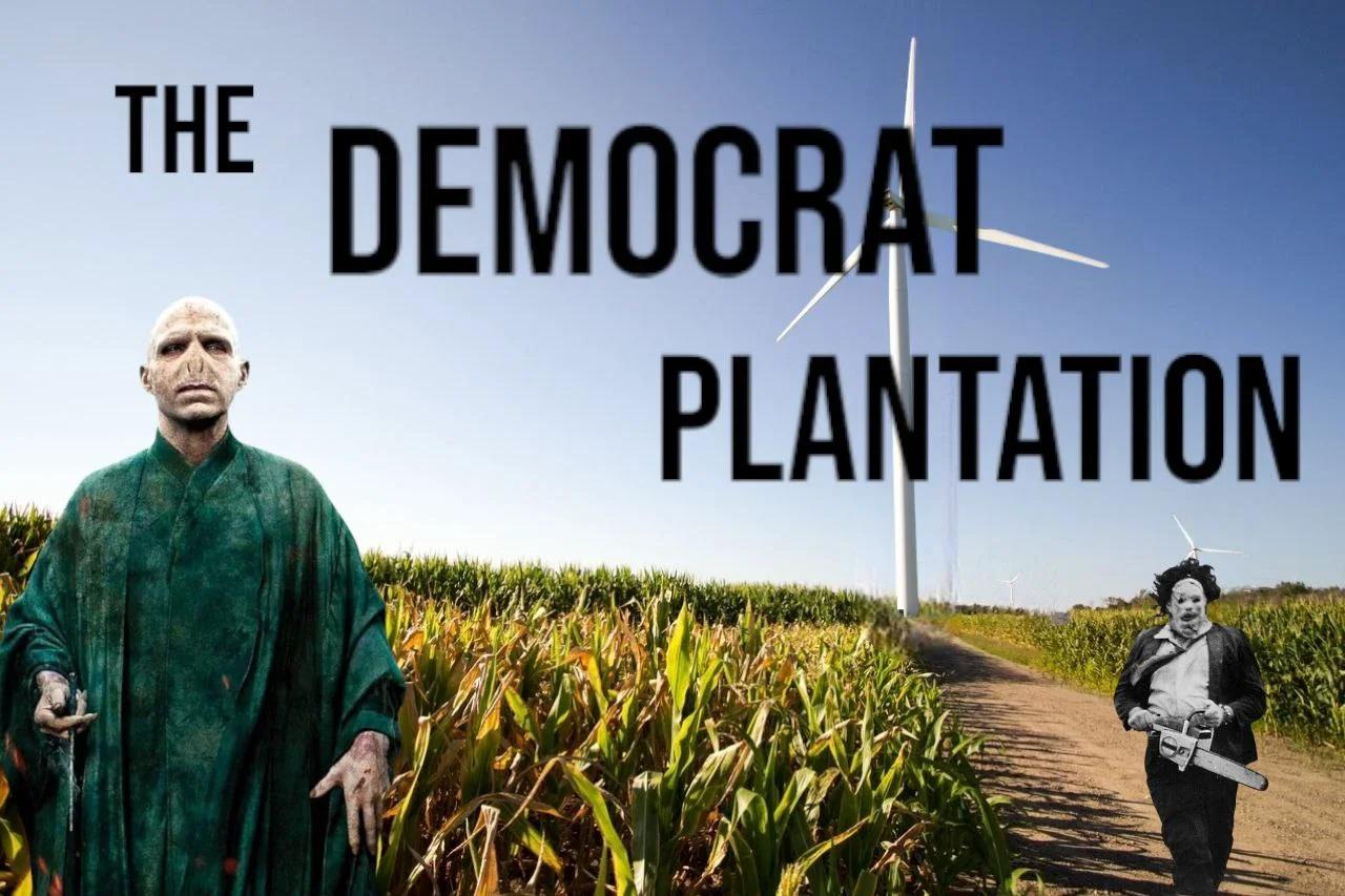 Democratic Plantation, CHILLING and DAY OFF