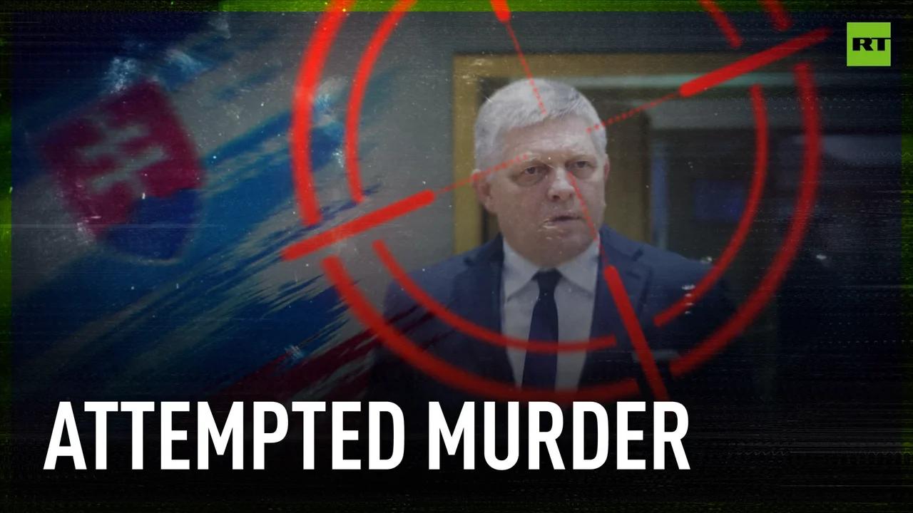 What is known about Robert Fico’s attacker