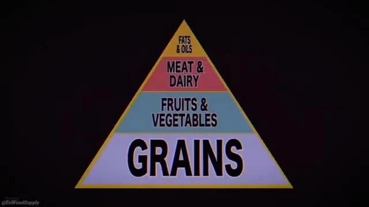 The Food Pyramid Is Literally A Scam