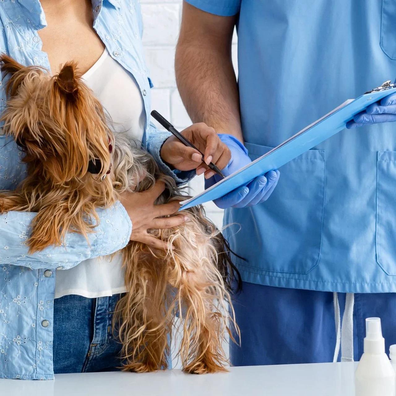 What Is Pet Insurance?