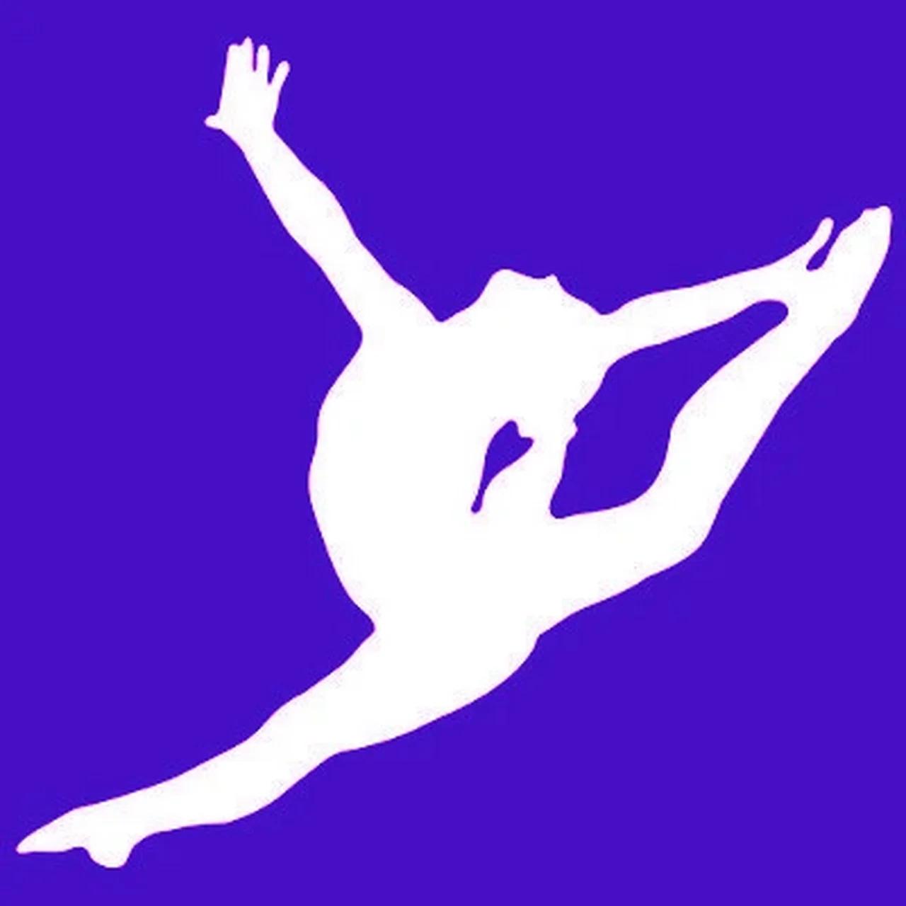 Artitic Gymnastics