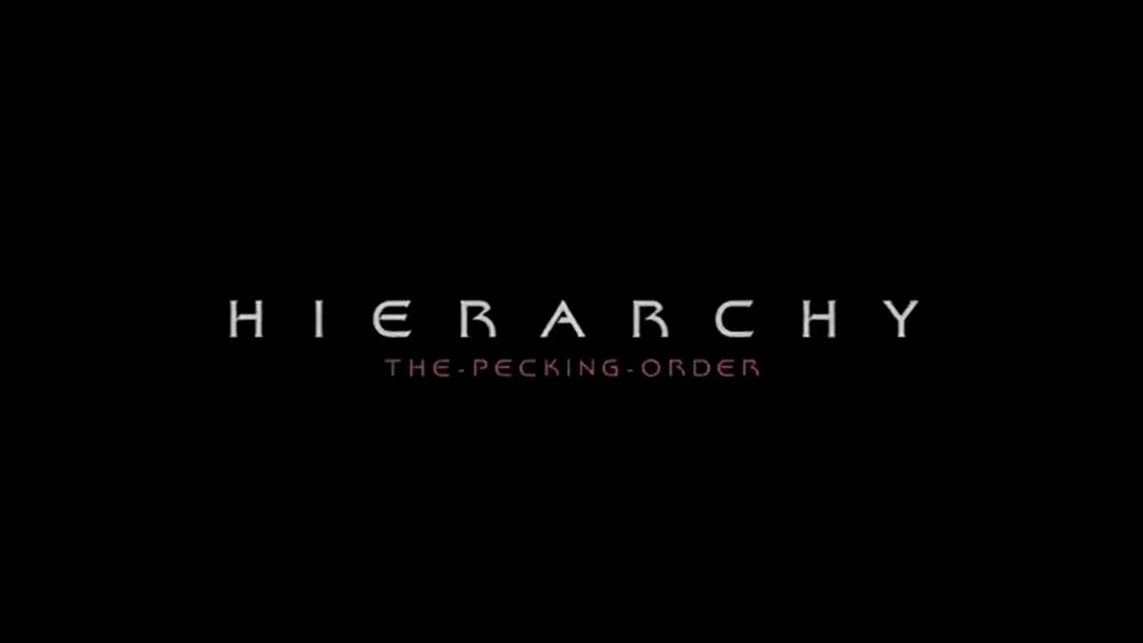 Hierarchy: The Rank In Society & The Rank Of Societies
