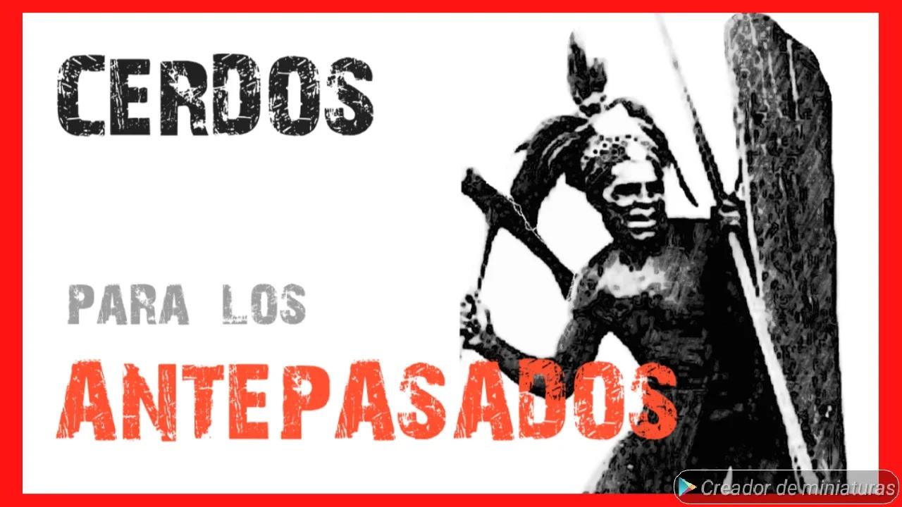 El RITUAL de la GUERRA tsembaga y su significado - Antropología