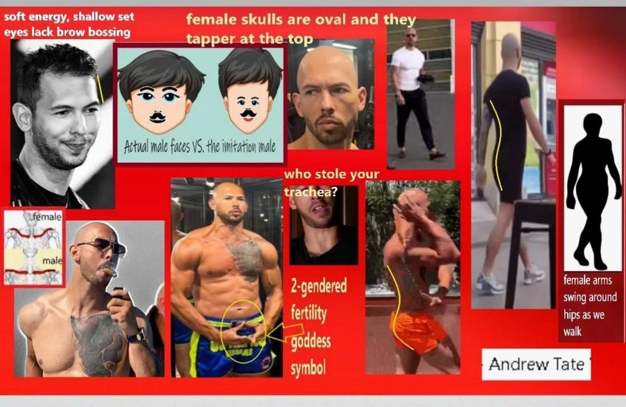 Andrew Tate: FTM Transgender