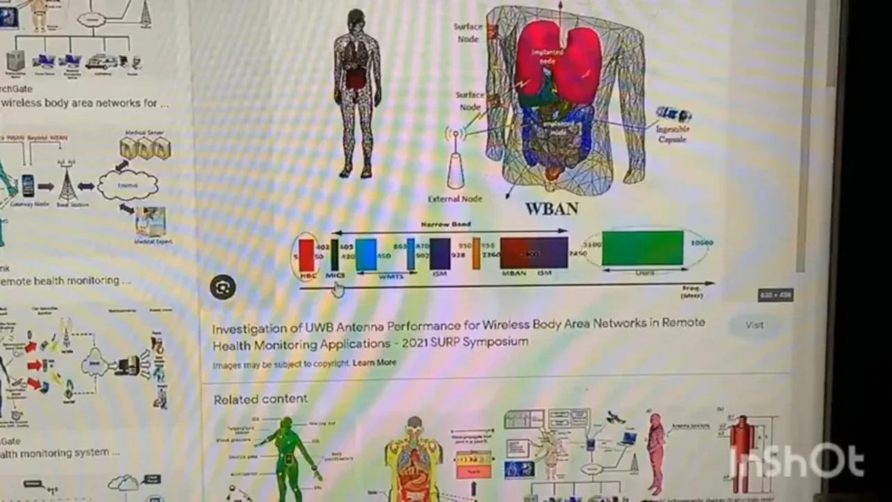 The Intra Body Nano Network Compilation
