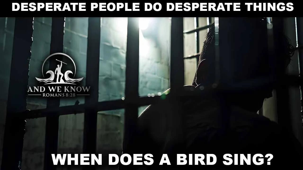 8.6.25: DESPERATE PEOPLE do DESPERATE things, When does a bird sing? BO ...