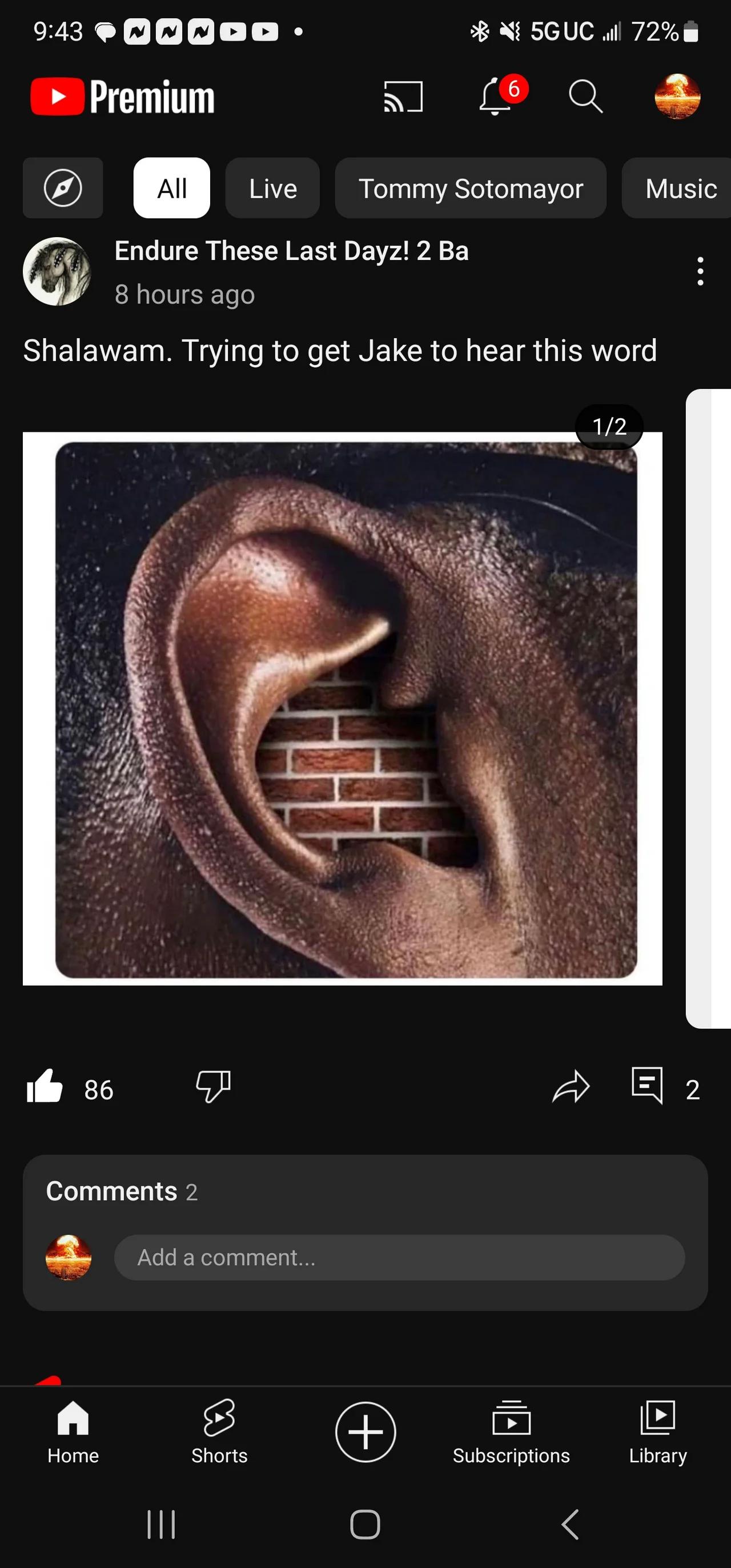 Died Suddenly Documentary!