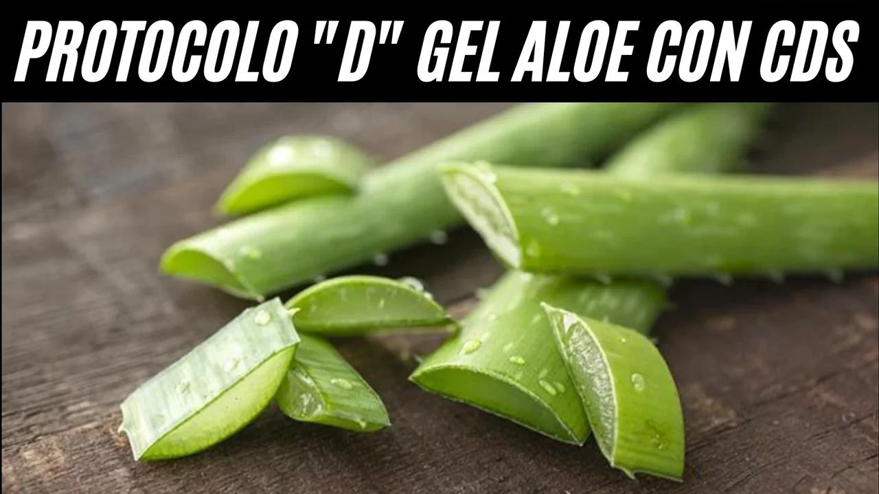 Protocolo D Gel Aloe con CDS