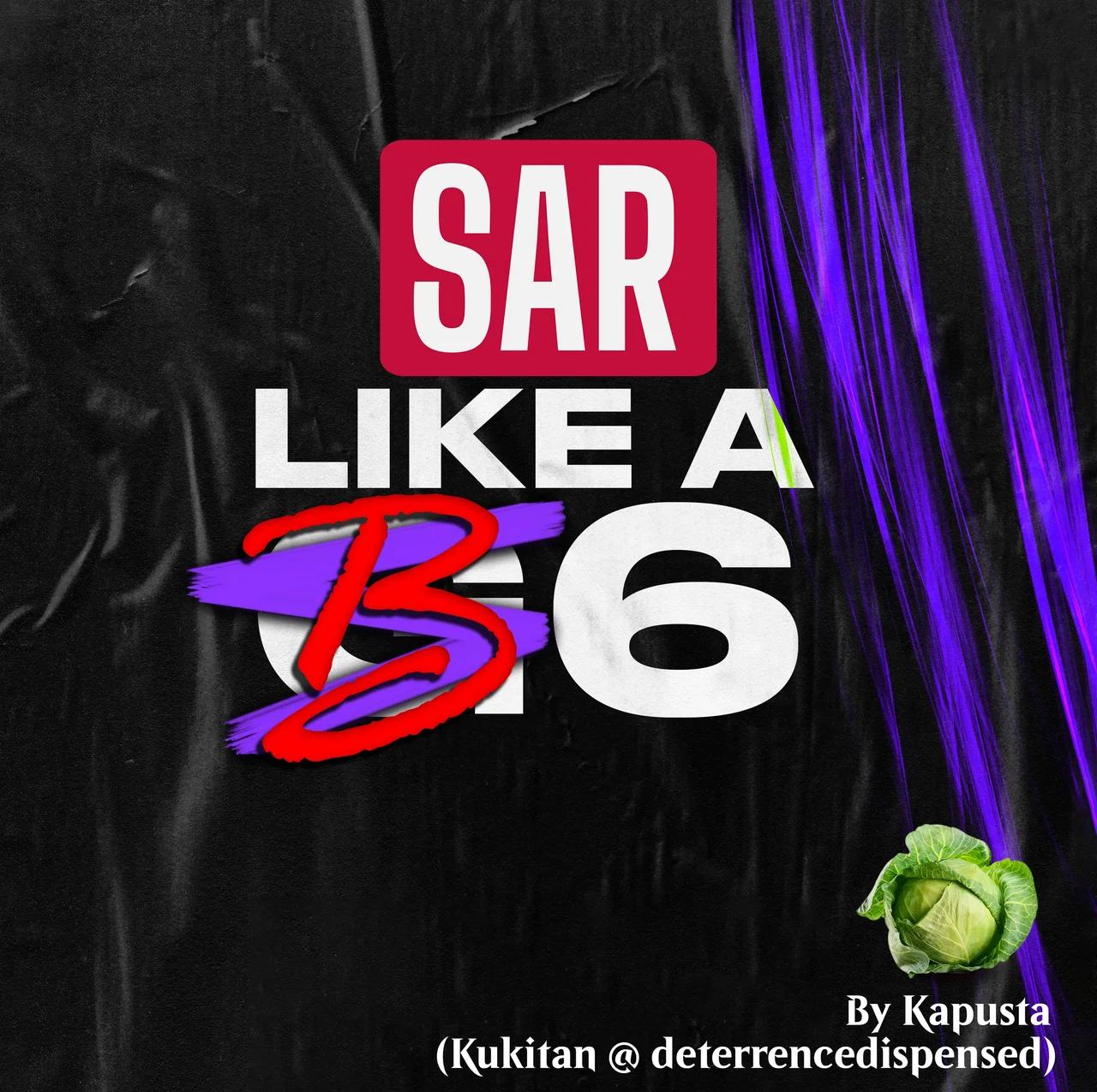 SAR LIKE A B6 - A SAR B6 Classic Style Frame