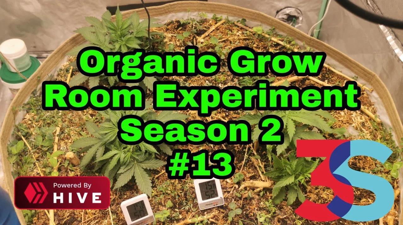 SkyBuds Organic Grow Room Living Soil Experiment Season-2-13