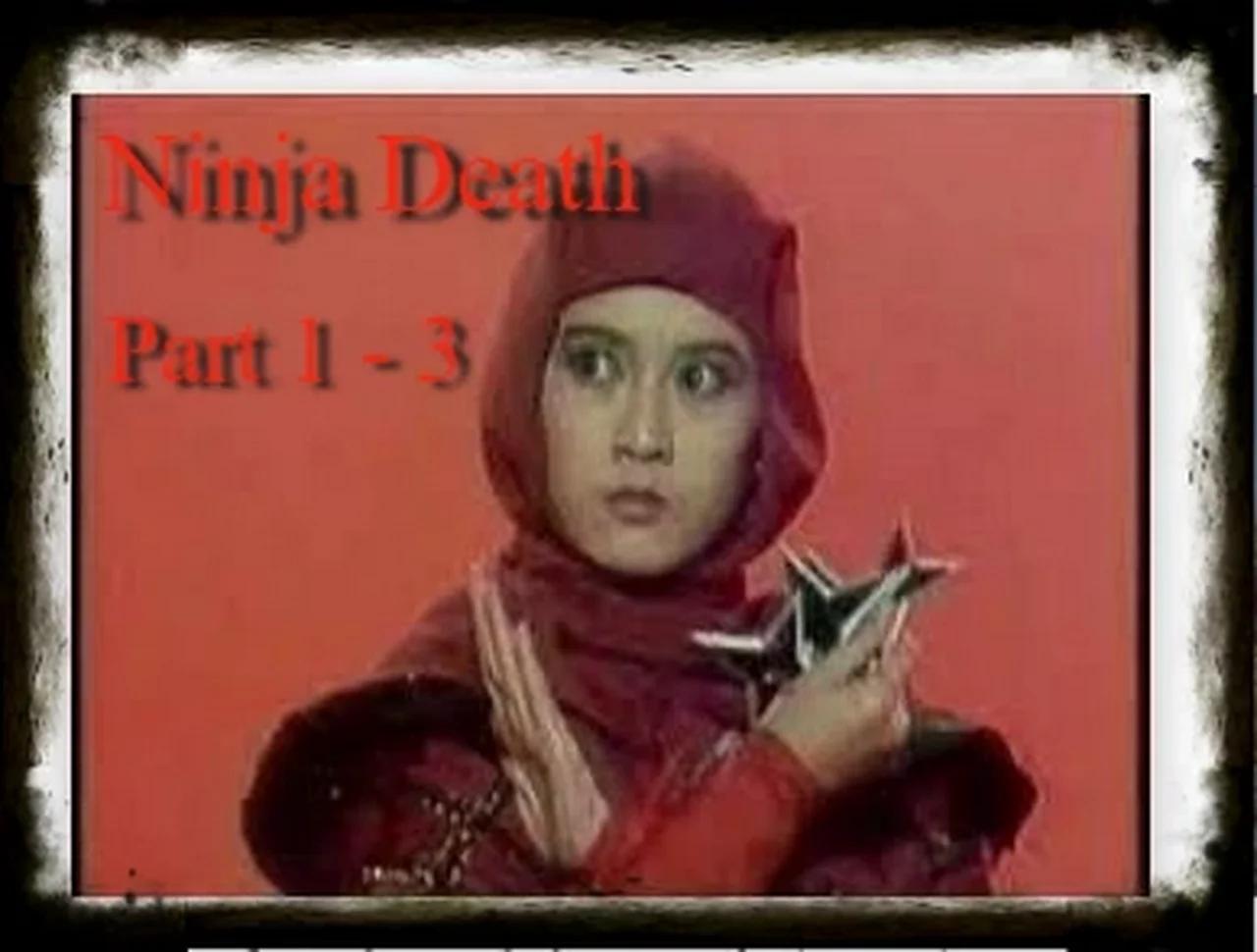 Ninja Death 1987 Part 3 | Classic Kung Fu Movies| Kung Fu Classics | Classic Martial Art Movies ...