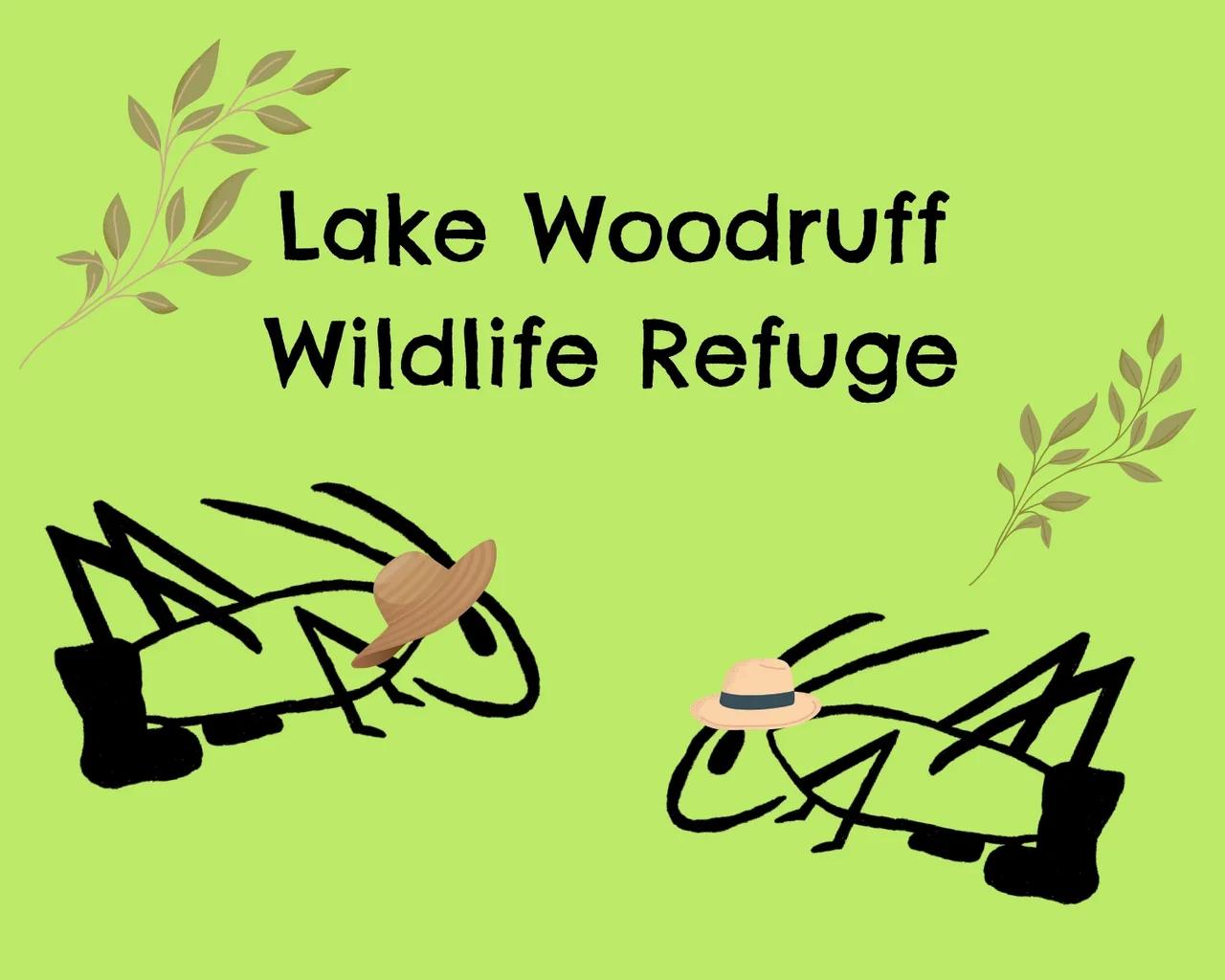 'Hopper Portal - Lake Woodruff Wildlife Refuge