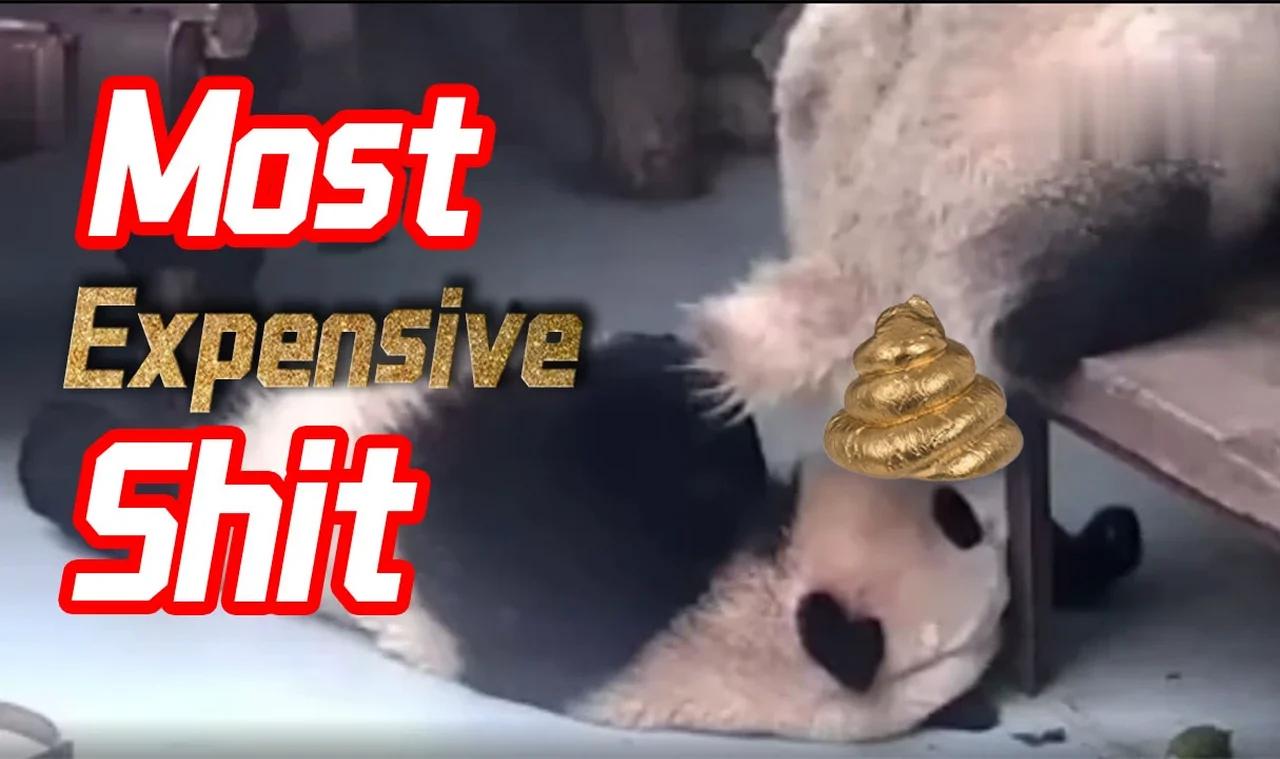 The 11 Most Expensive Piles of Poop in the World, #1 Could Get You 5 ...