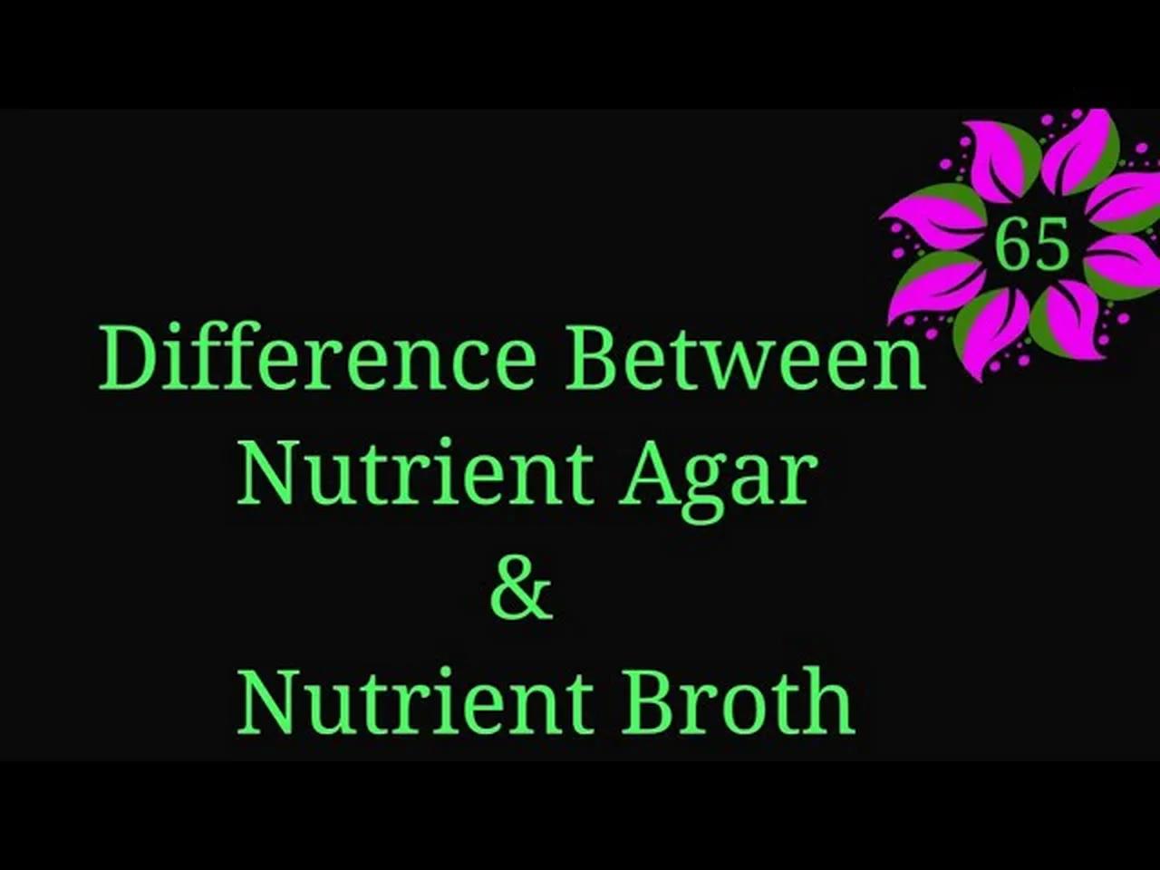 Difference Between Nutrient Agar and Nutrient Broth @Ente Microbial World.