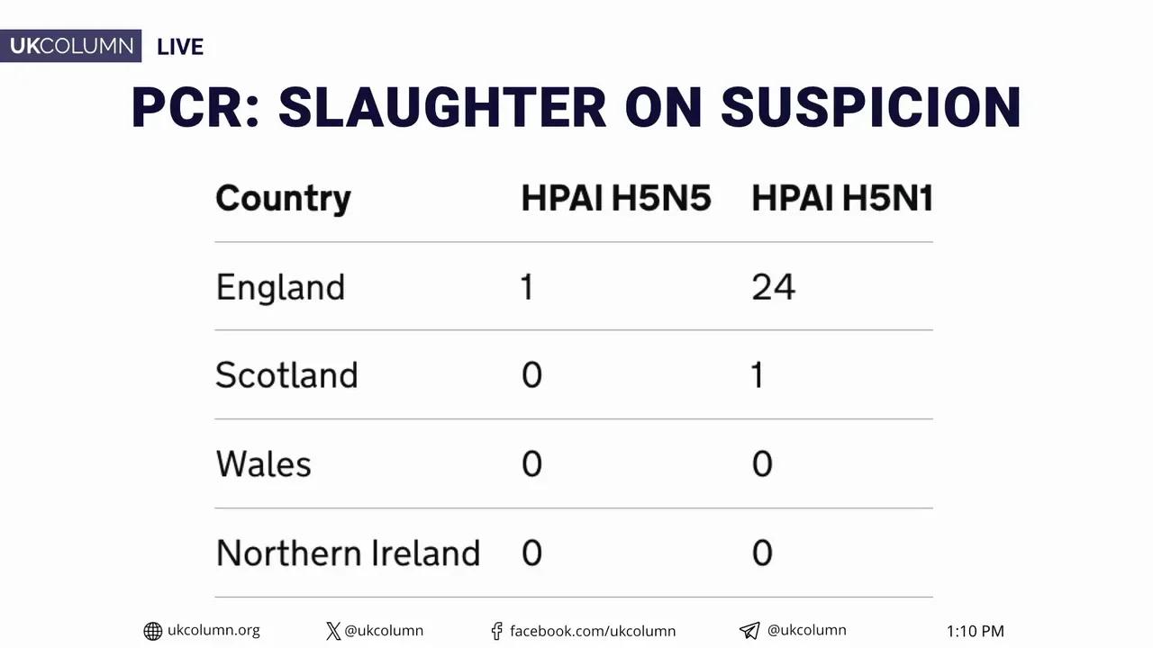 Bird Flu: PCR Testing Leads to More Slaughtered on Suspicion - UK ...