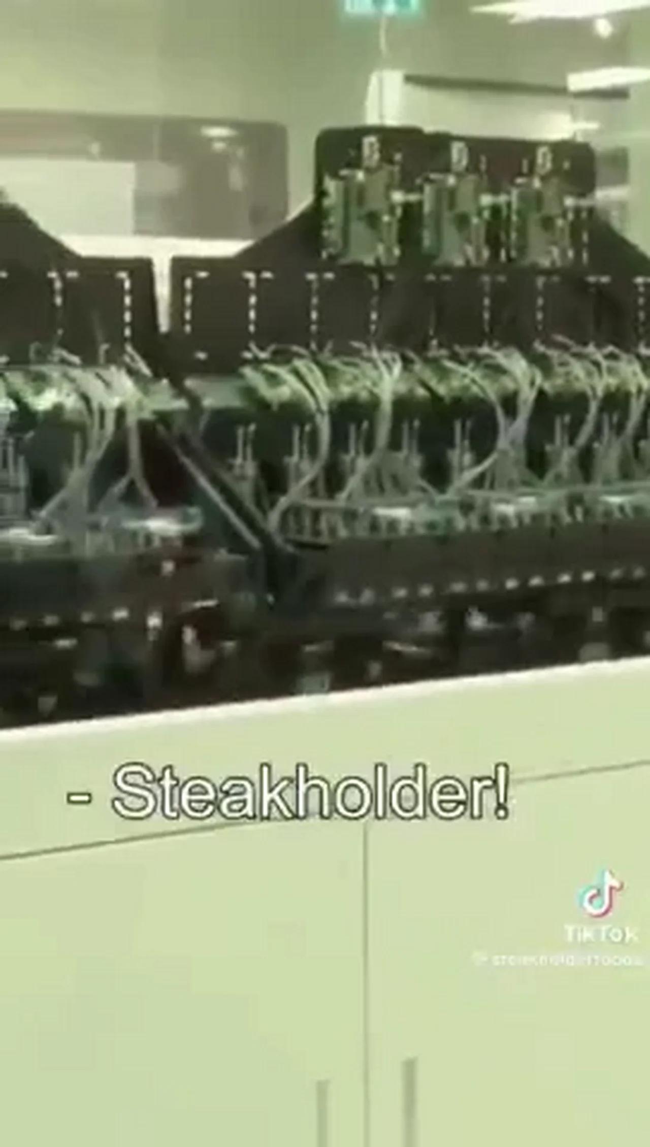 Vile 3D Printer Prints Meat From Israeli Cabalist