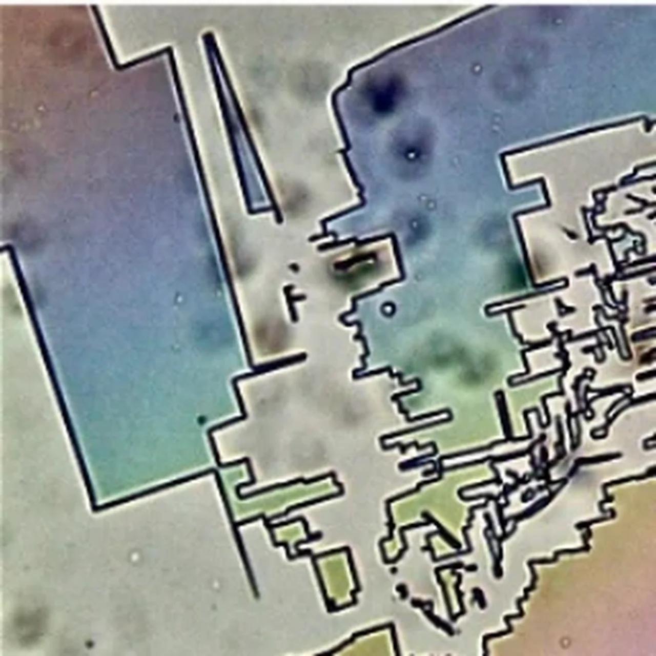 Discovering Pathogen X