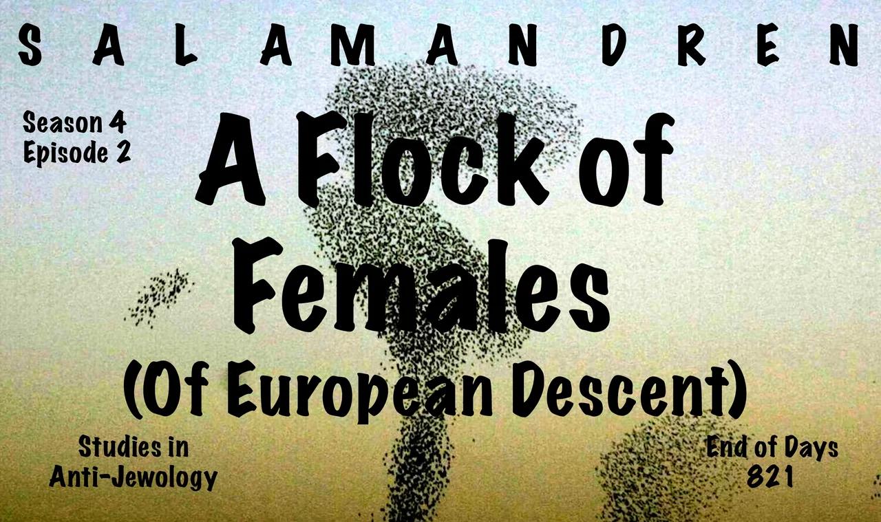 A Flock of Females (of European Descent) (Studies in Anti-Jewology)