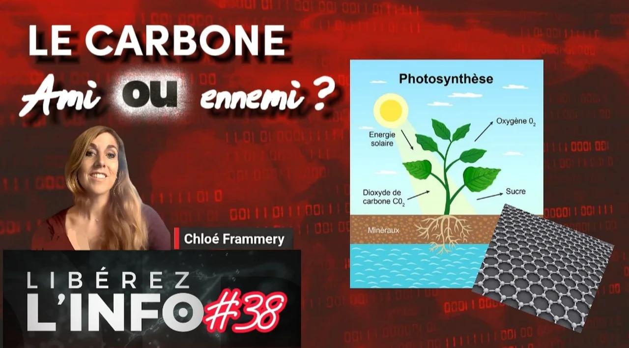 Le Carbone : Ami ou ennemi