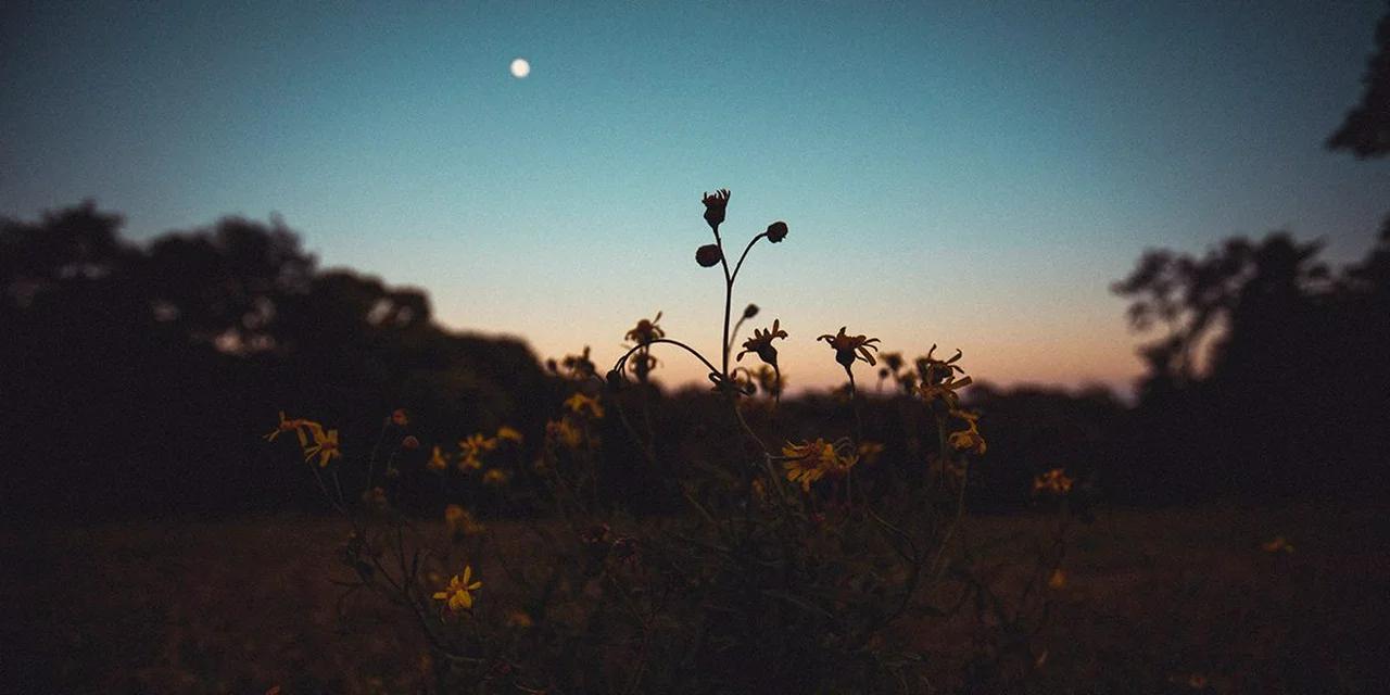 Tom Barnett with Dale Holmes and Madeleine Doherty (Sky To Earth ...