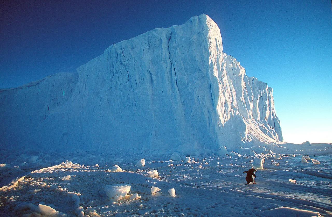 Antarctica - Just Ice and Penguins?